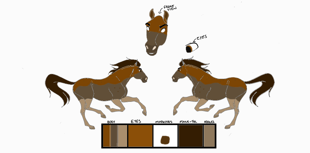 Java Reference Sheet *Stonewall herd~warrior* by SnowyCreek on DeviantArt