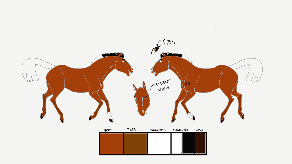 Tentey Ref Sheet *Cavalry Mare* by SnowyCreek on DeviantArt
