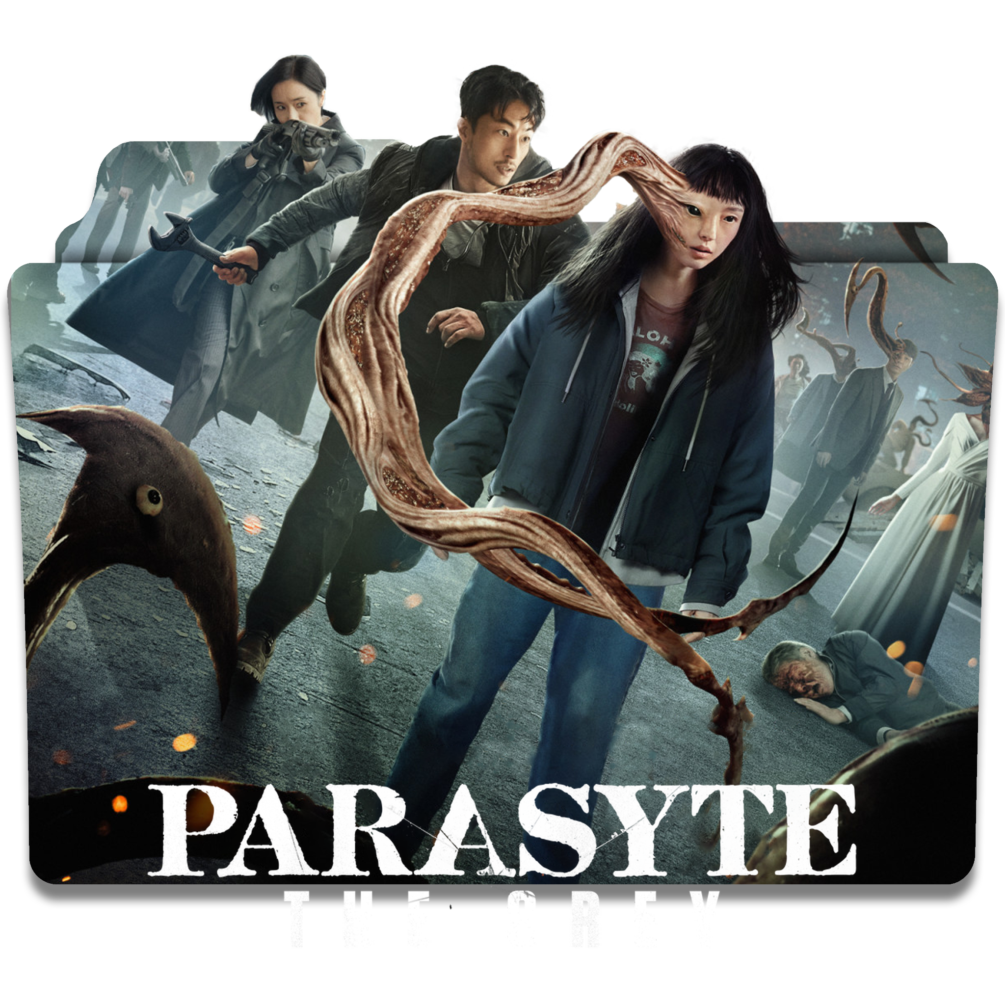 Parasyte The Grey icon folder by ahmed2052002 on DeviantArt