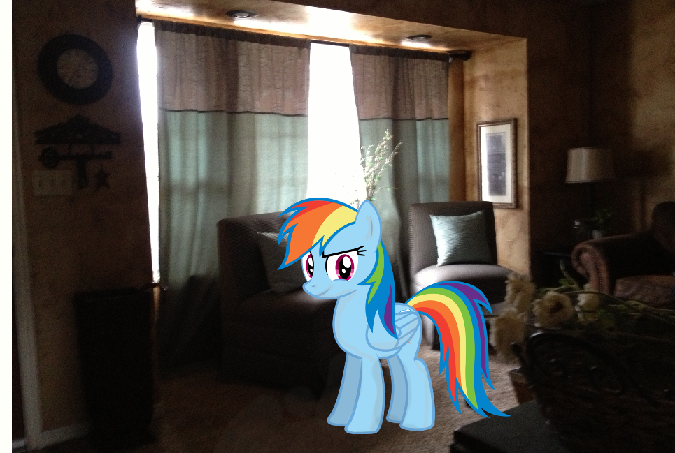 Rainbow Dash in my house by Sonicrules6078 on DeviantArt