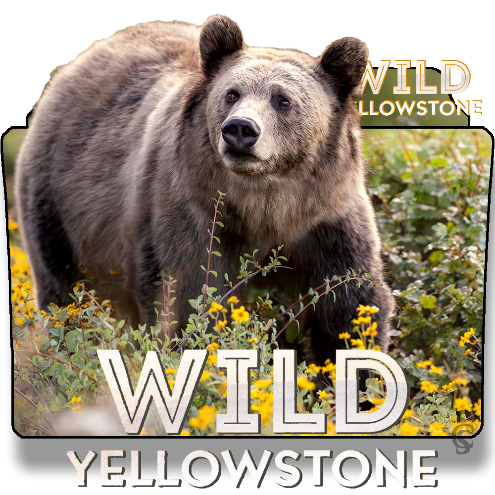 Wild Yellowstone (2015) V1 folder icon by Carrshow on DeviantArt