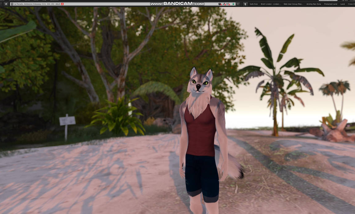 Bandicam 2022-07-17 00-40-18-806 by CustomSuPAR on DeviantArt