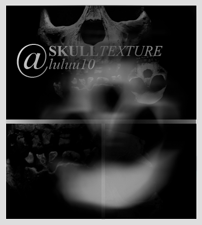 SKULL texture by Luluu10 on DeviantArt