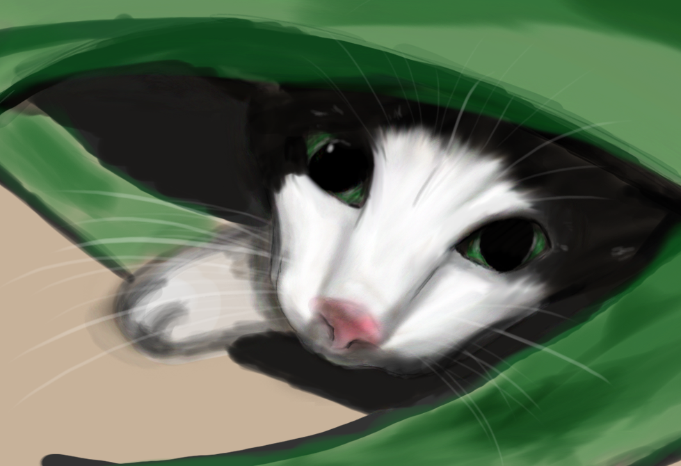 Digipaint+cat by doubleclickmatt on DeviantArt