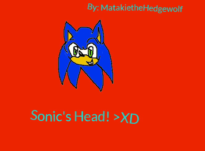 Sonic's Head! XD by MatakietheHedgewolf on DeviantArt