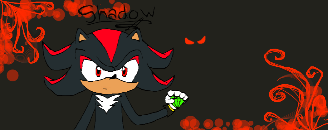 Shadow the Hedgehog by KaceyTheHedgehog on DeviantArt