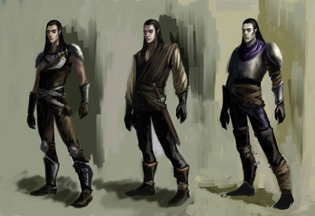 Elf Rogue/Fighter concept by Leuxdervo on DeviantArt
