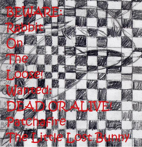 The Little Lost Bunny by Deathmegasega3 on DeviantArt