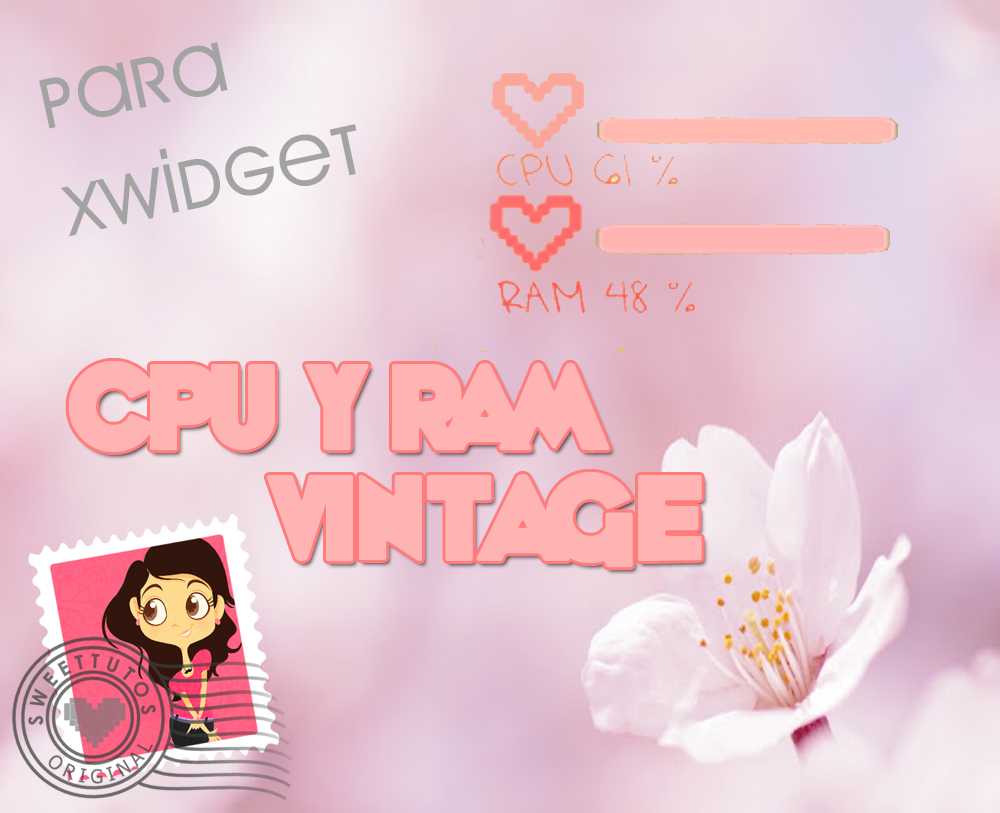 Skin Xwidget CPU RAM vintage by iBeHappyRawr on DeviantArt