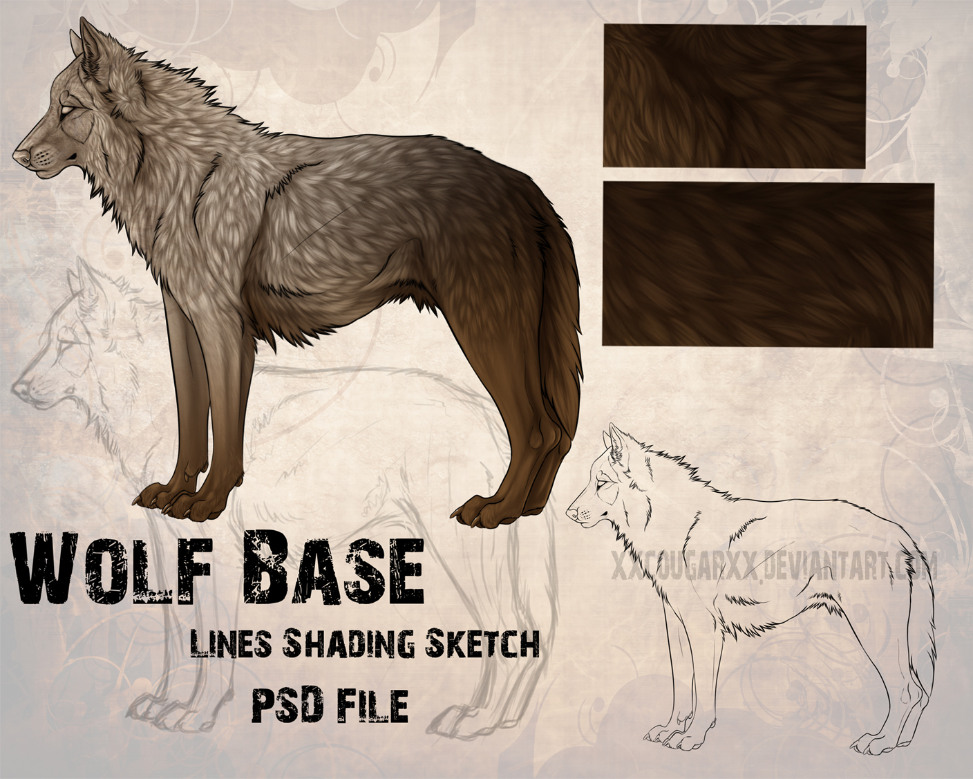 High Detailed Wolf Base by xXCougarXx on DeviantArt