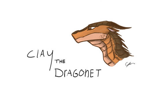 Explore the Best Claythedragonet Art | DeviantArt
