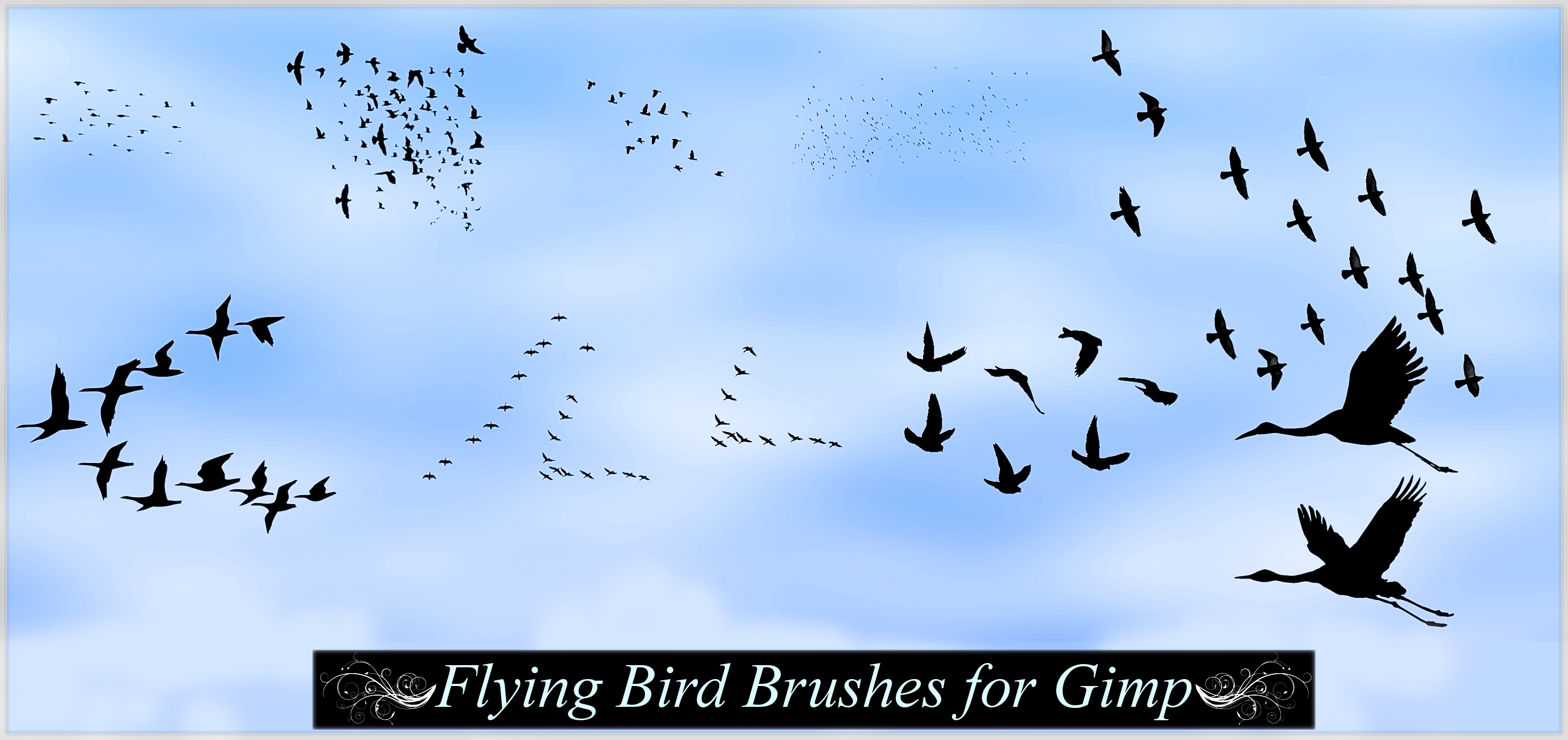 Gimp Flying Birds by Geosammy on DeviantArt