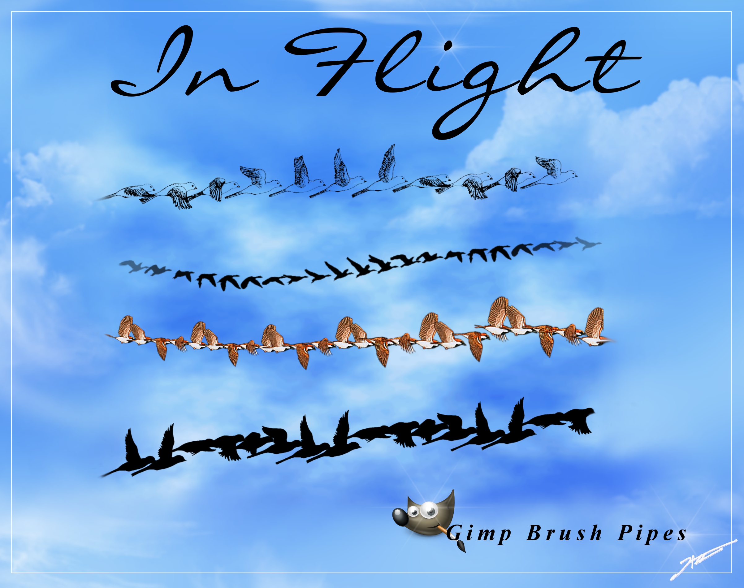 Gimp Bird In Flight Brushes by Geosammy on DeviantArt