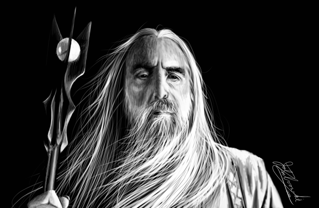 The White Wizard by Joel90zab on DeviantArt