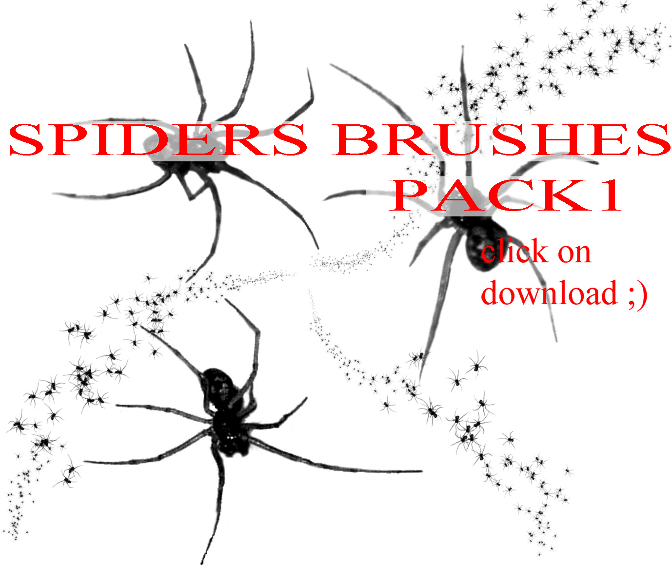 Spiders brushes PACK 1 by whynotastock on DeviantArt