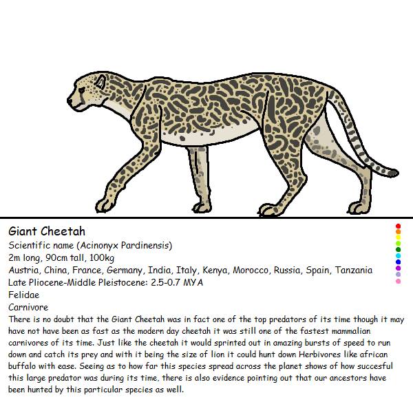 Giant Cheetah by Whitedragon66 on DeviantArt