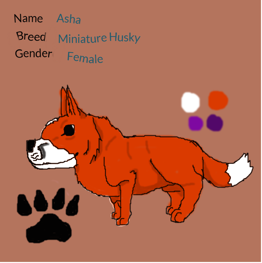 Fursona Refrence Sheet by WolfMations28 on DeviantArt