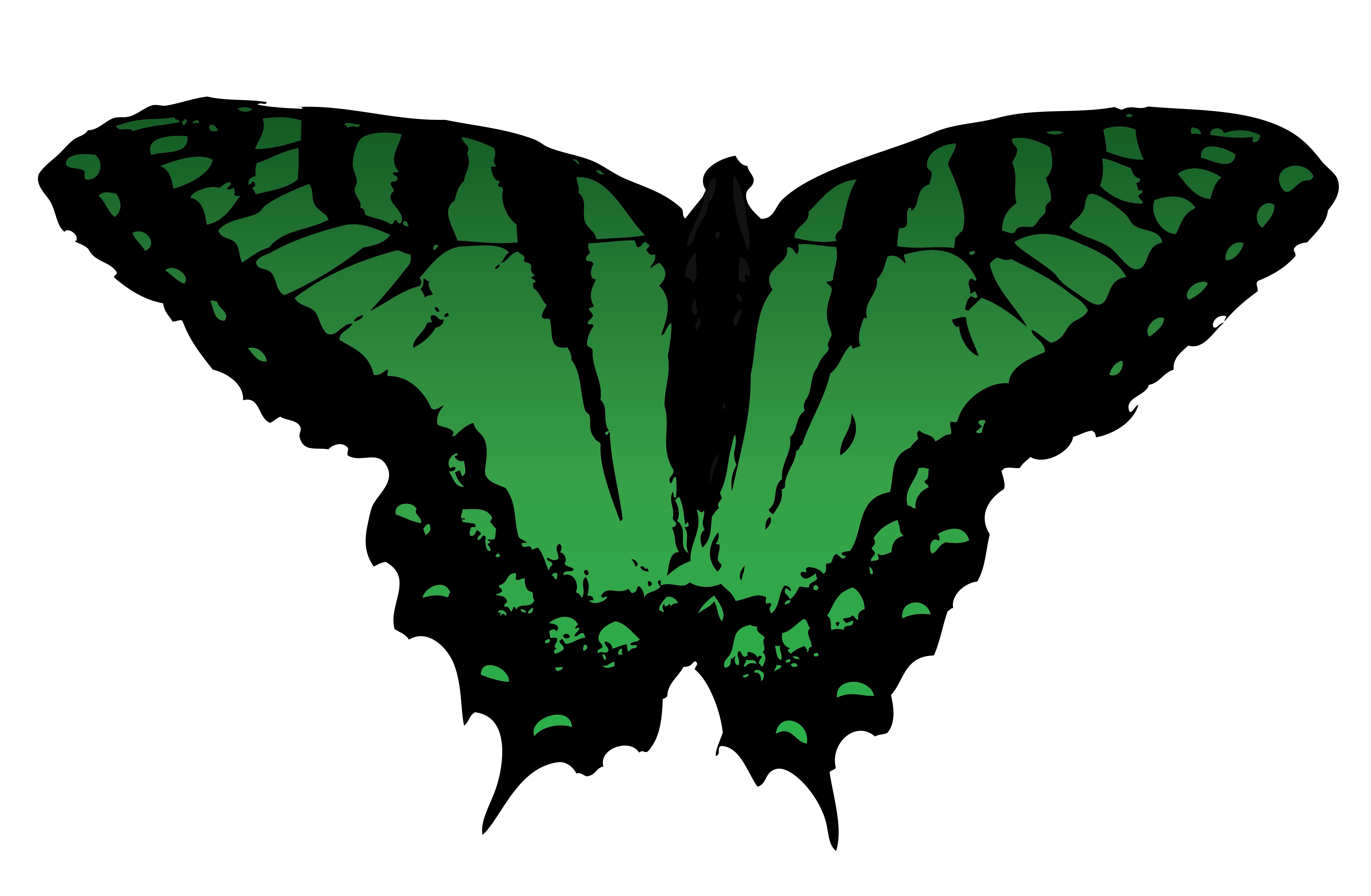 Butterfly Vector free for use by romansiii on DeviantArt