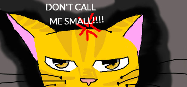 DON'T CALL ME SMALL!!!! by chi-ji-dragon on DeviantArt
