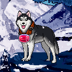 Husky in a snowy mountain - Pixel Art Animation by camilaxiao on DeviantArt