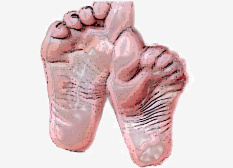 GIF - Animate Test by TOOFARBOUND on DeviantArt