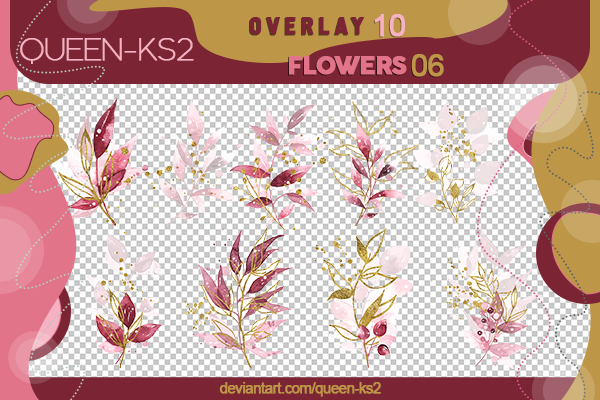 Overlays 10 - Flowers 06 by Queen-KS2 on DeviantArt