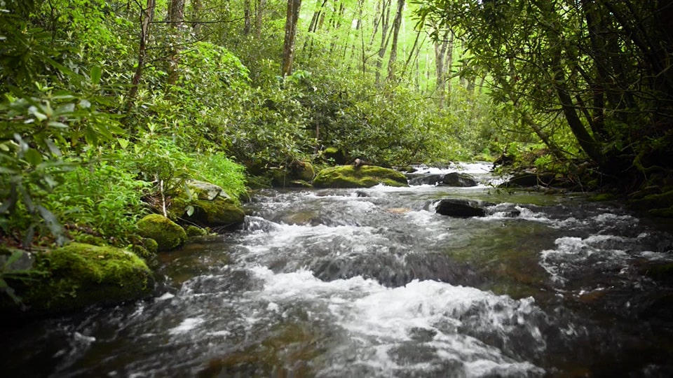 Nantahala National Forest by nlublovary on DeviantArt