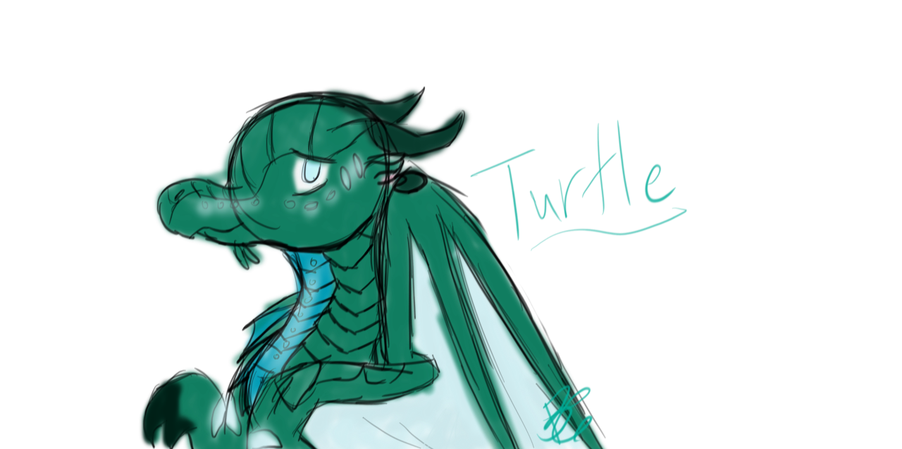 Turtle by Noonatic on DeviantArt