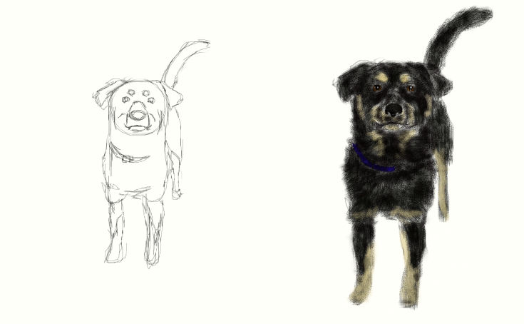 Every Drawing begins with a sketch by petitchaton16 on DeviantArt