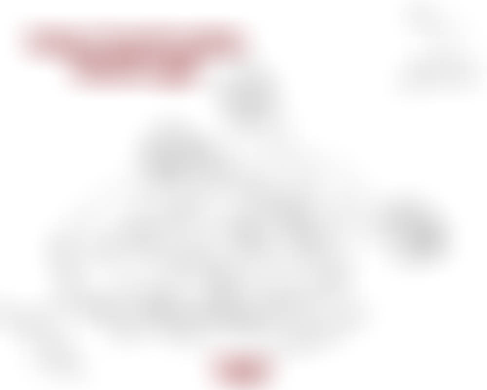 Turkey Transformation Clickthrough 9 Stages by Janexas on DeviantArt