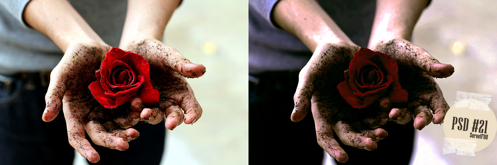 Psd #21 by servetf08 on DeviantArt