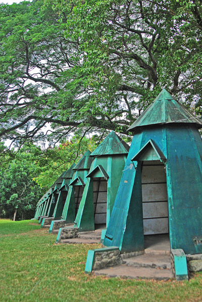 Pasonanca Park by resurrect97 on DeviantArt