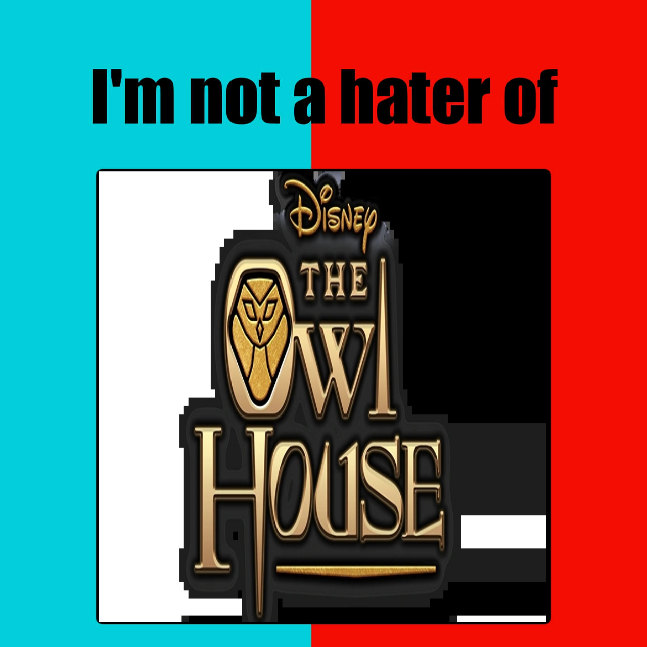 I'm Not A Hater Of The Owl House by StephenBVoices on DeviantArt