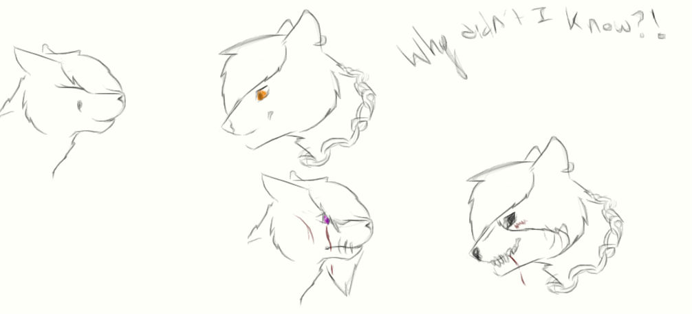 Shadow and Drake by Akemi-Chann on DeviantArt