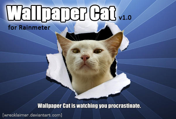 Wallpaper Cat by Wrecklaimer on DeviantArt