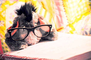 Sofi-deviant User Profile | DeviantArt