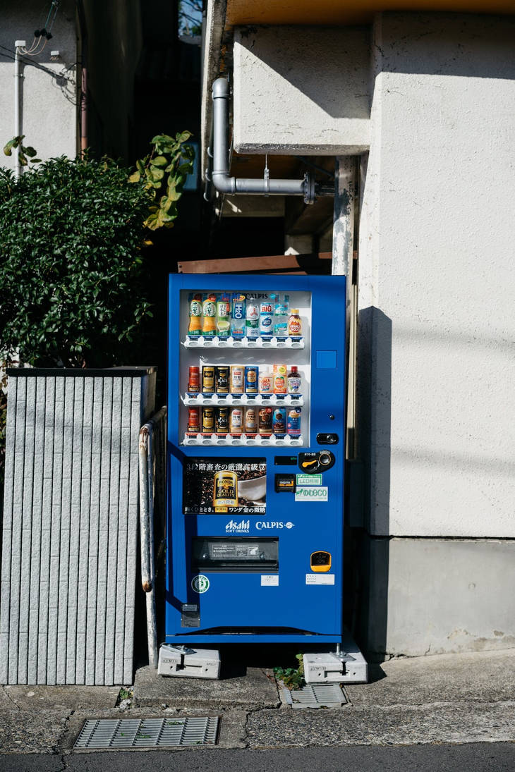 Weird-Japanese-vending-machines-Tokyo-Station-frui by josemanuelallel ...
