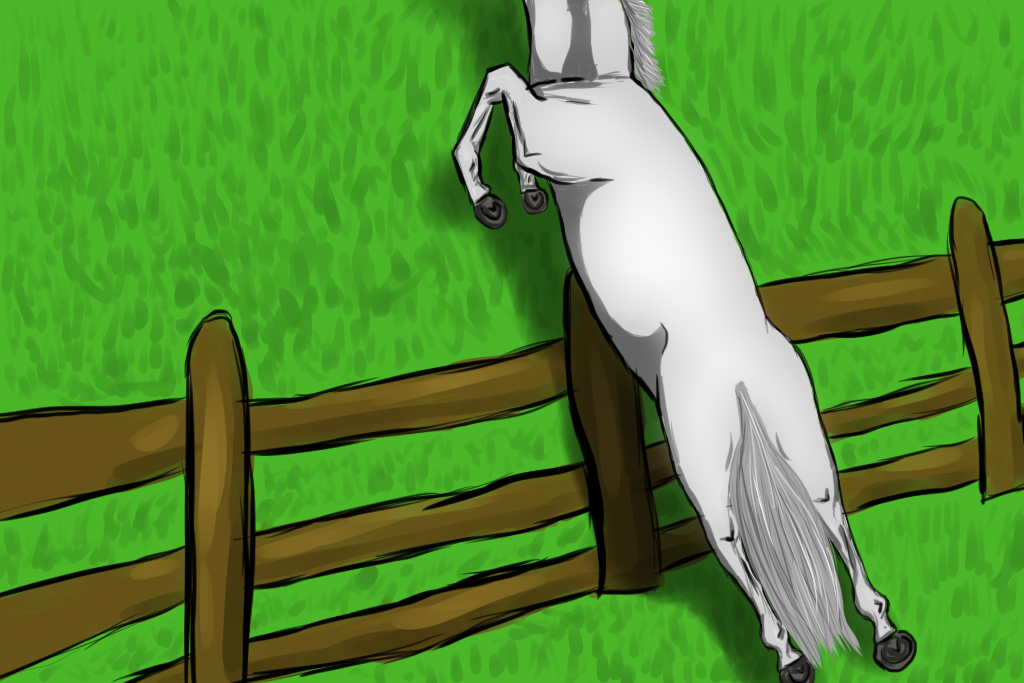 Pegasus Jumping The Fence by KrazyKrafter on DeviantArt