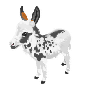 Dave by The-Dashinator on DeviantArt