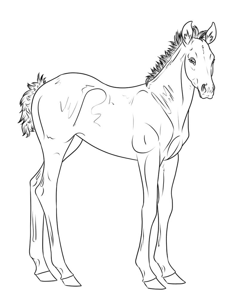 Free Color Your Own Foal Line Art by fulociraptor on DeviantArt