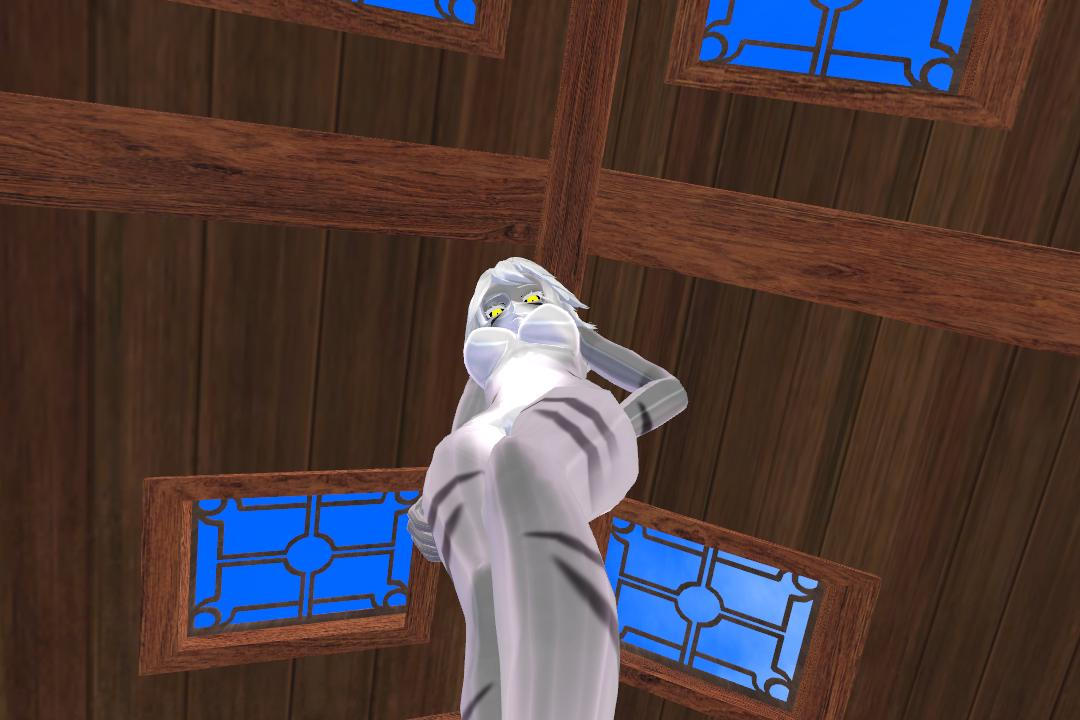 Tiger Shark Girl Pov By Spiritray76 On Deviantart