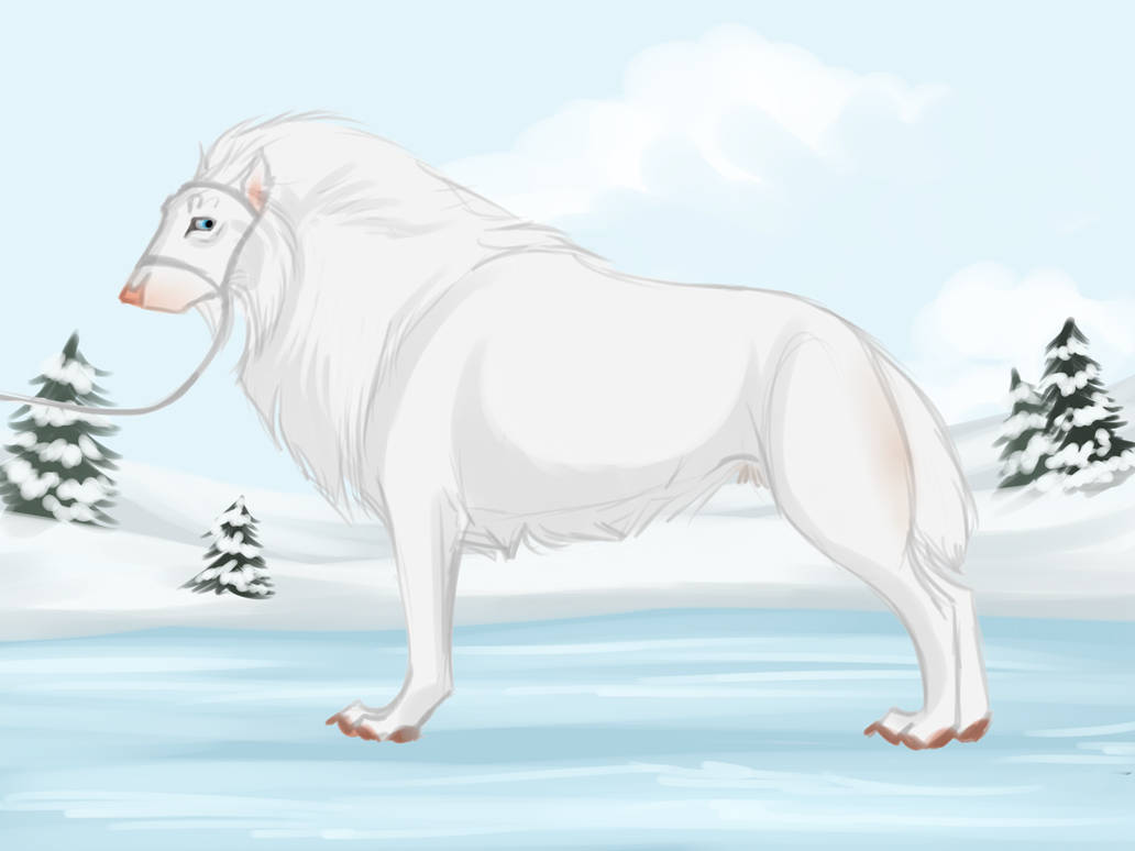 Tokota by ArsenicLaced on DeviantArt