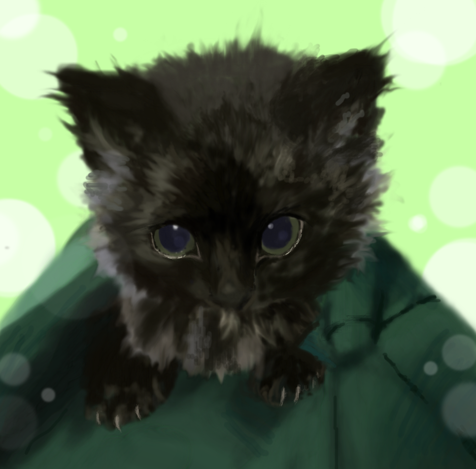 El Gatoooo by amy-vhh on DeviantArt