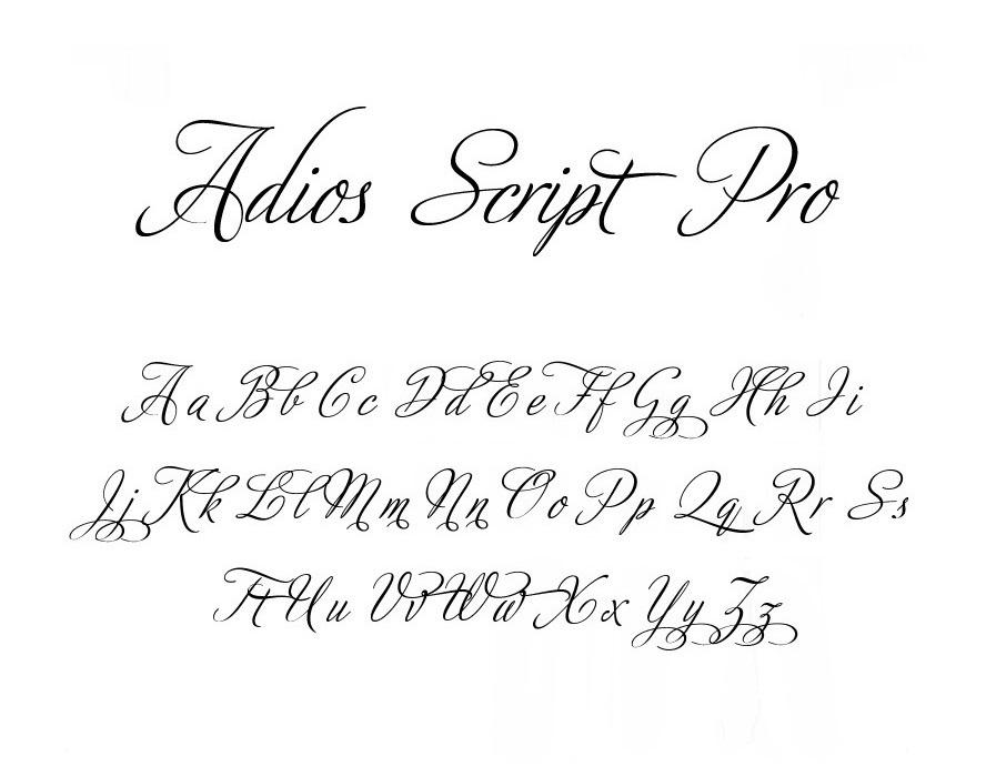 Adios Script Pro by LittleBadGirl-Missy on DeviantArt
