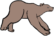 Bear Run Cycle by SocsAnimations on DeviantArt