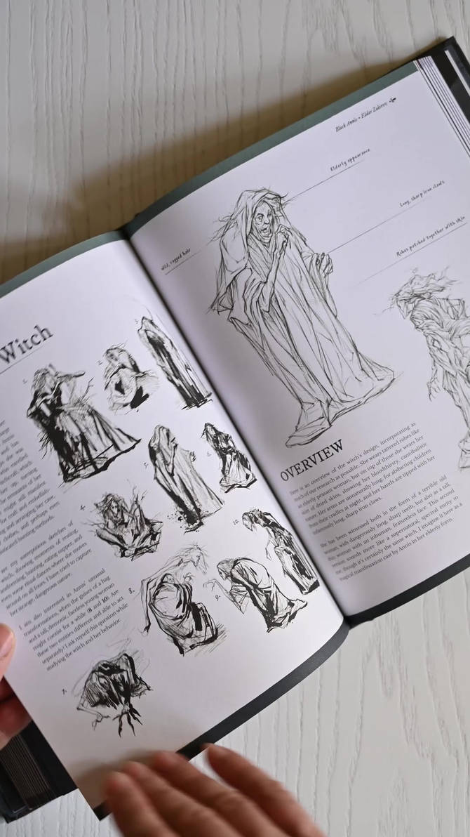 The Field Guide to Witches. An artist's Grimoire by EldarZakirov on DeviantArt
