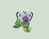 Caterpie Evolution Line: #010 - #012 by ZoruaFox on DeviantArt