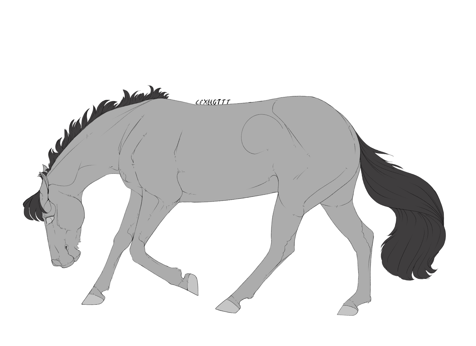 Loping QH Single Base by Lexelott on DeviantArt