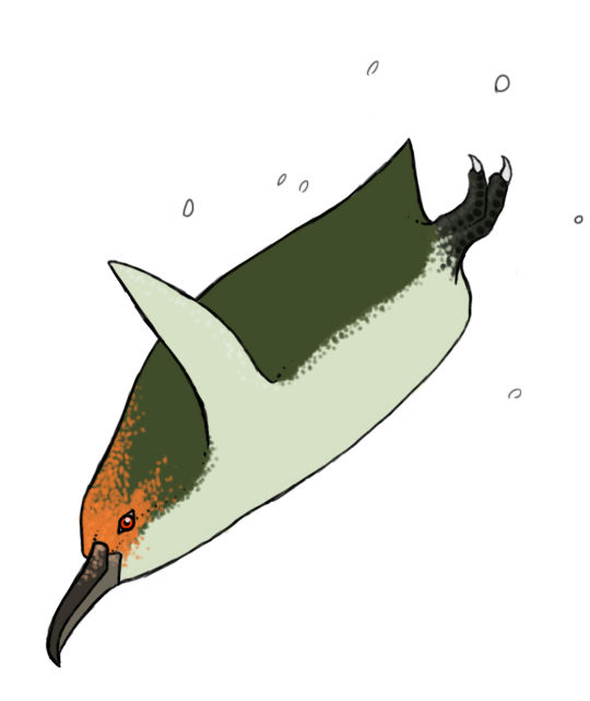 Freshwater Penguin by TrollMans on DeviantArt