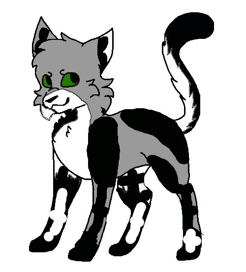 Ashpaw by Blurstar1 on DeviantArt